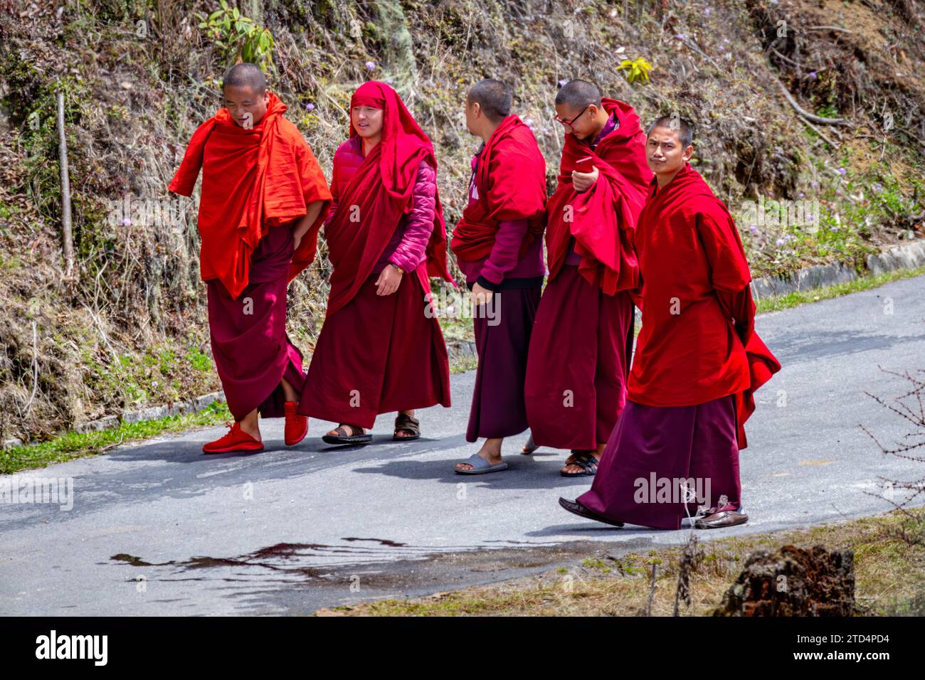 Buddhist monks in morning hi-res stock photography and images - Alamy