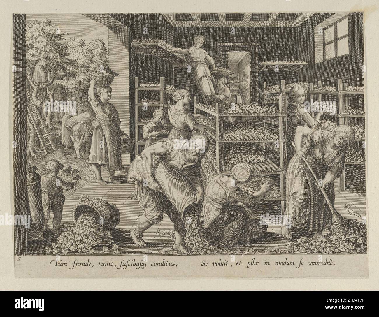 The Gathering of Mulberry Leaves and the Feeding of the Silkworms ...