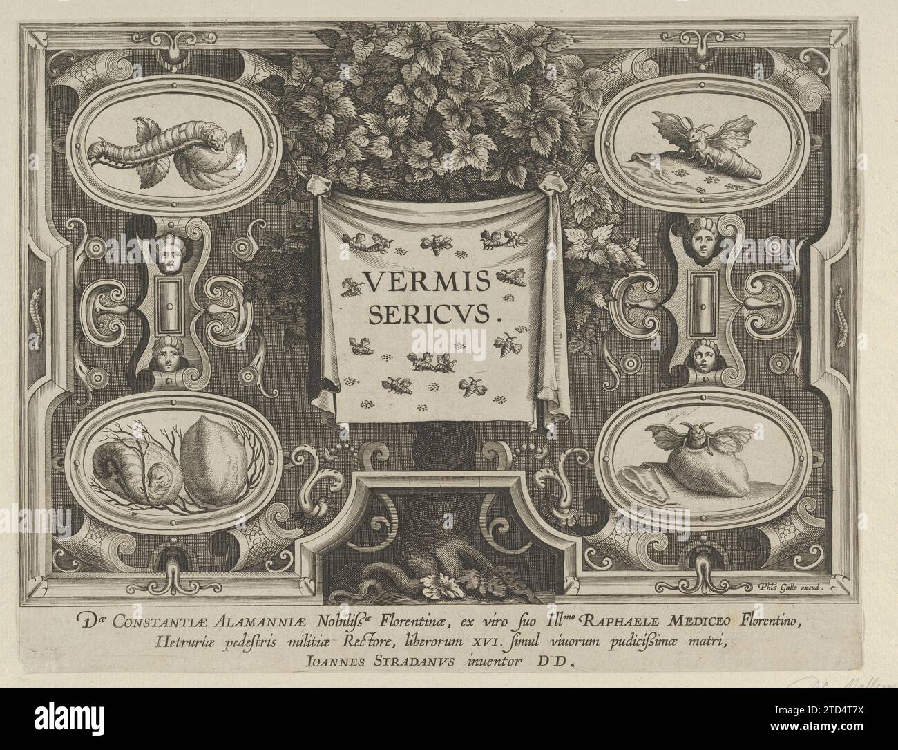 Title Plate from "The Introduction of the Silkworm" [Vermis Sericus ...