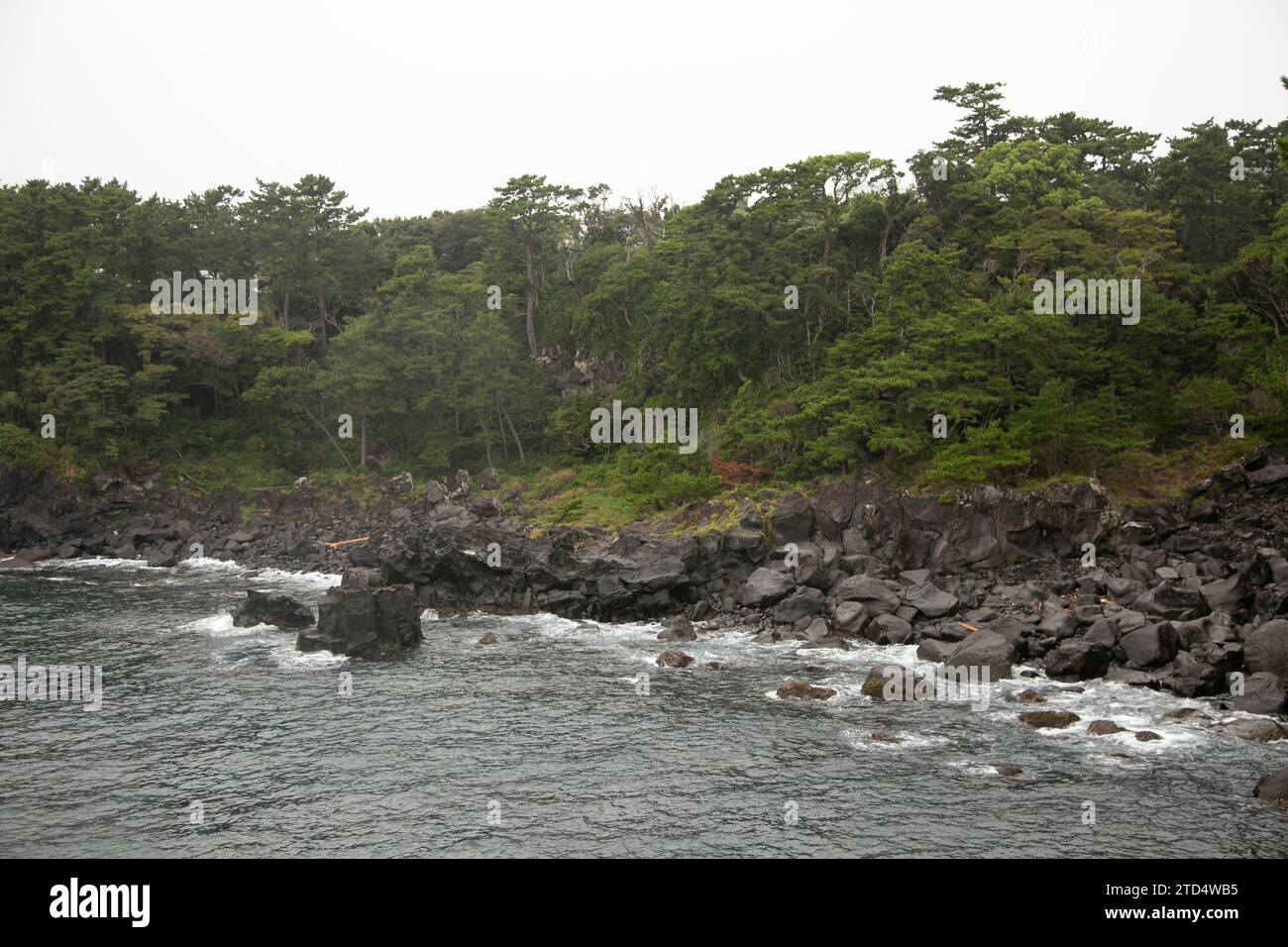 Jogasaki coast in Shizuoka prefecture next to Ito city Stock Photo - Alamy