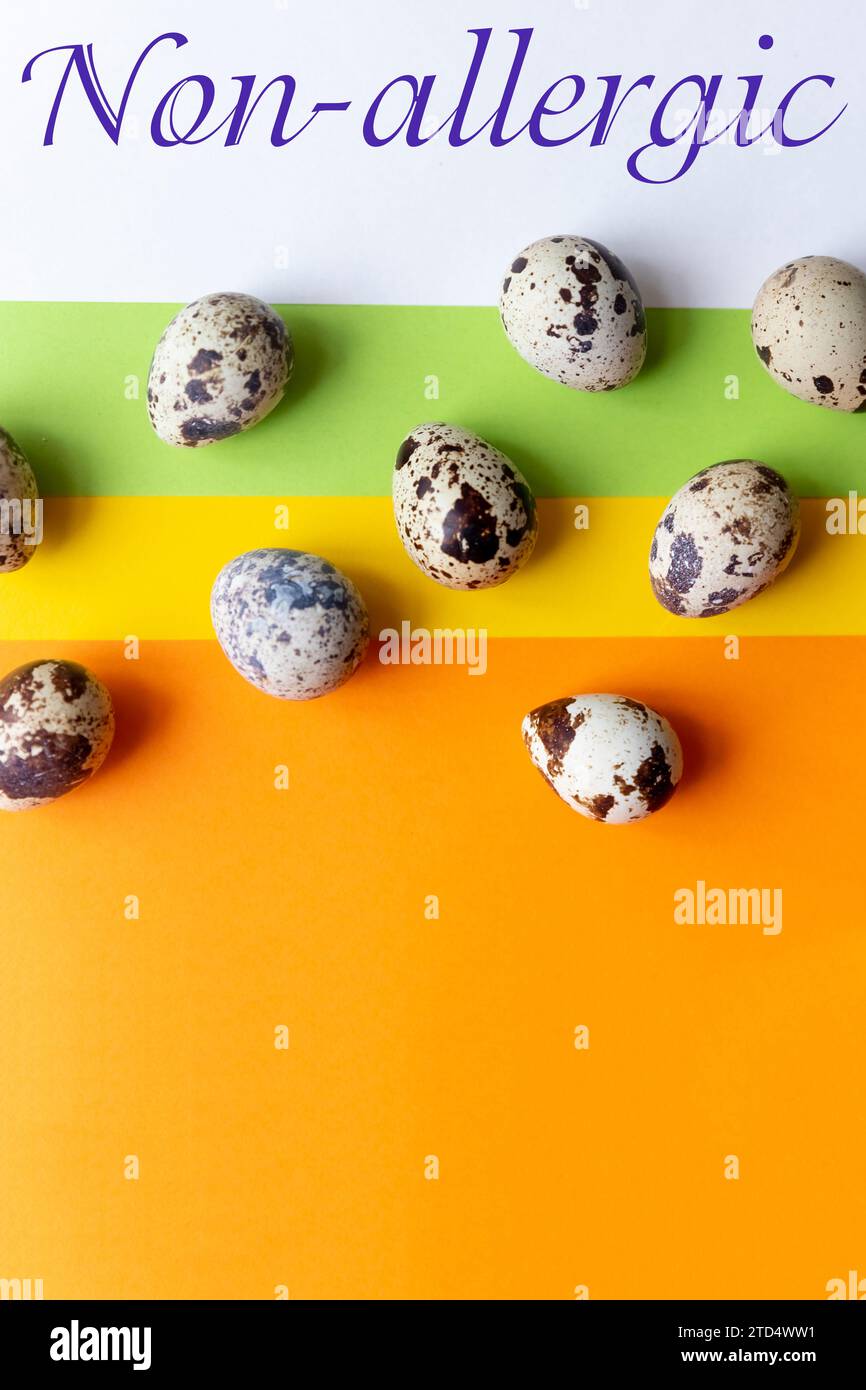 Creative quail egg layout on white background. Quail eggs pattern ...