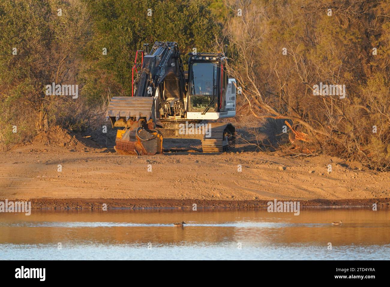 Bulldozer at Guadalhorce natural reserve park, improving lagoon borders ...