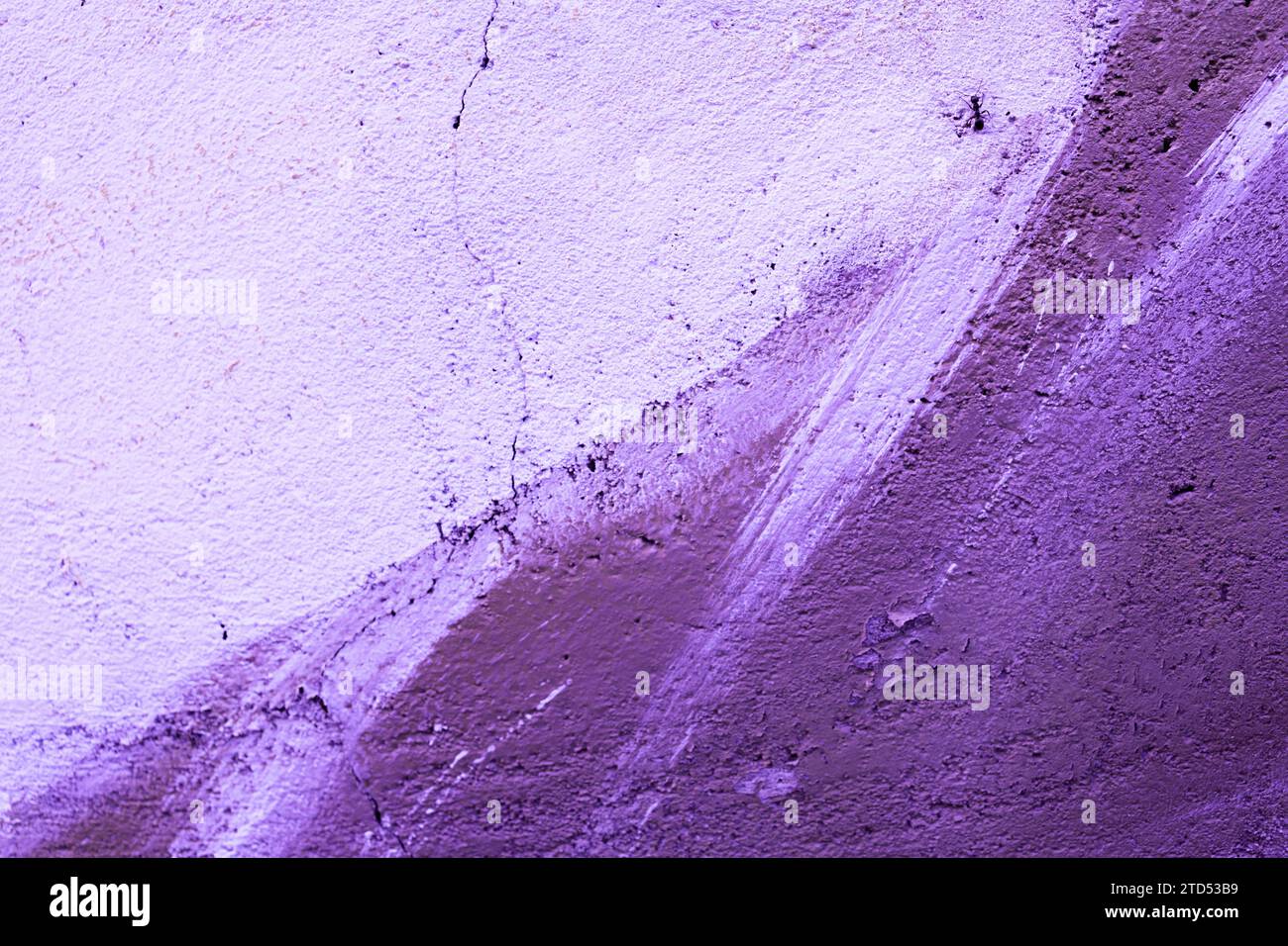 Light and dark violet shades concrete surface background. Texture, copy ...