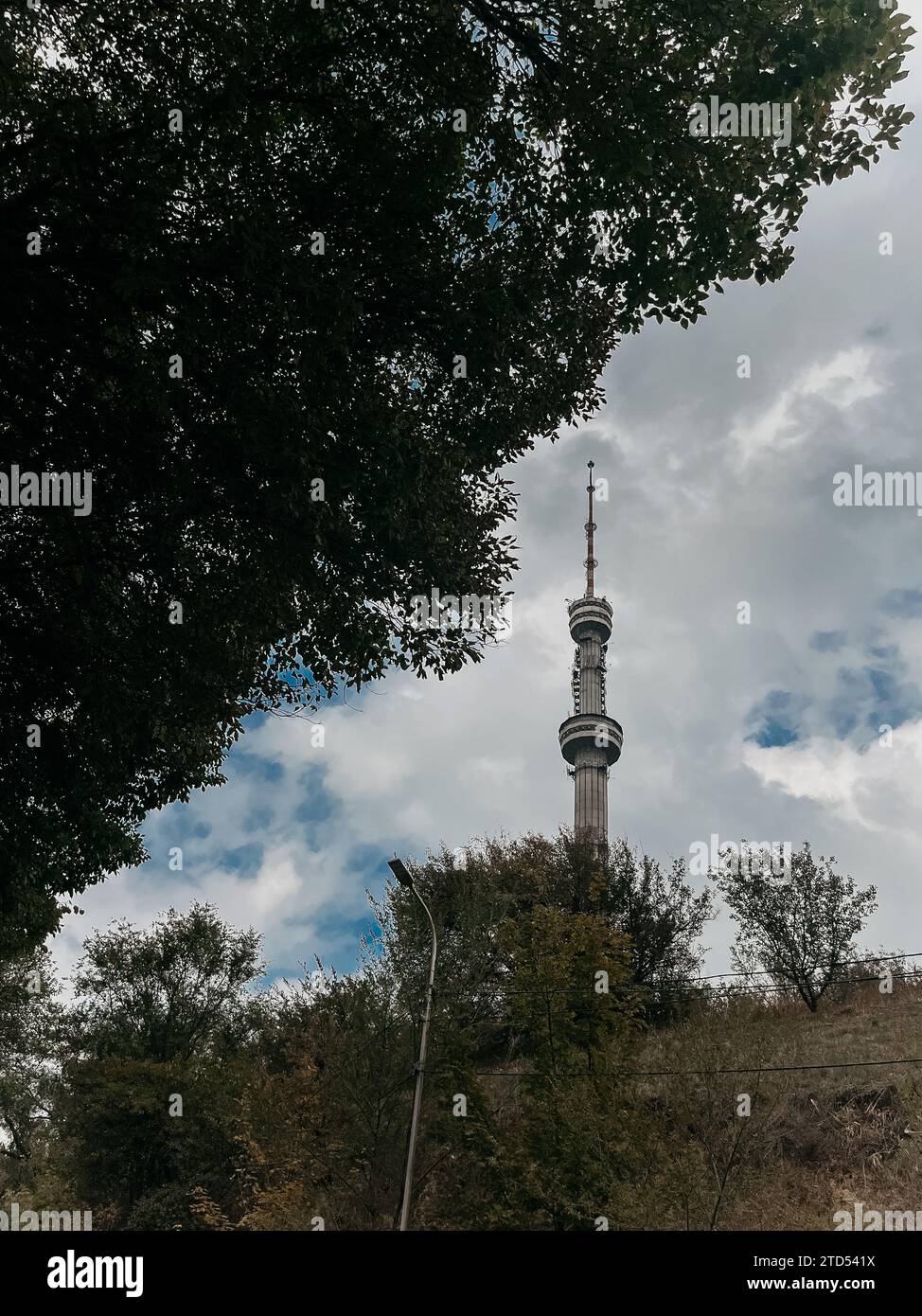 Almaty TV Tower view through the trees in summer Stock Photo - Alamy