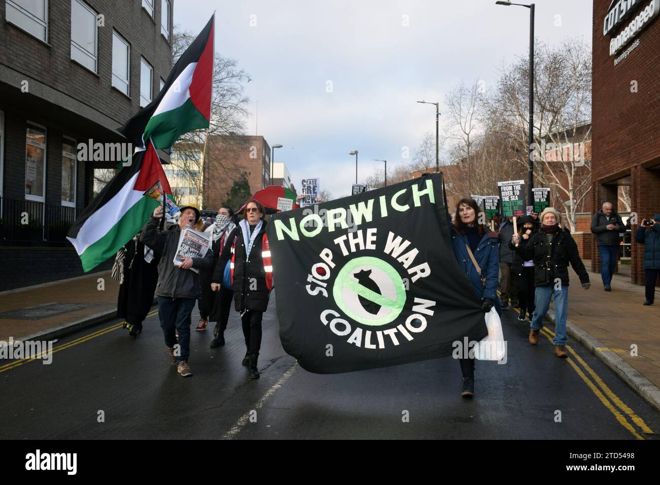 National Day of Action for Palestine. Protest in Norwich, UK at ...
