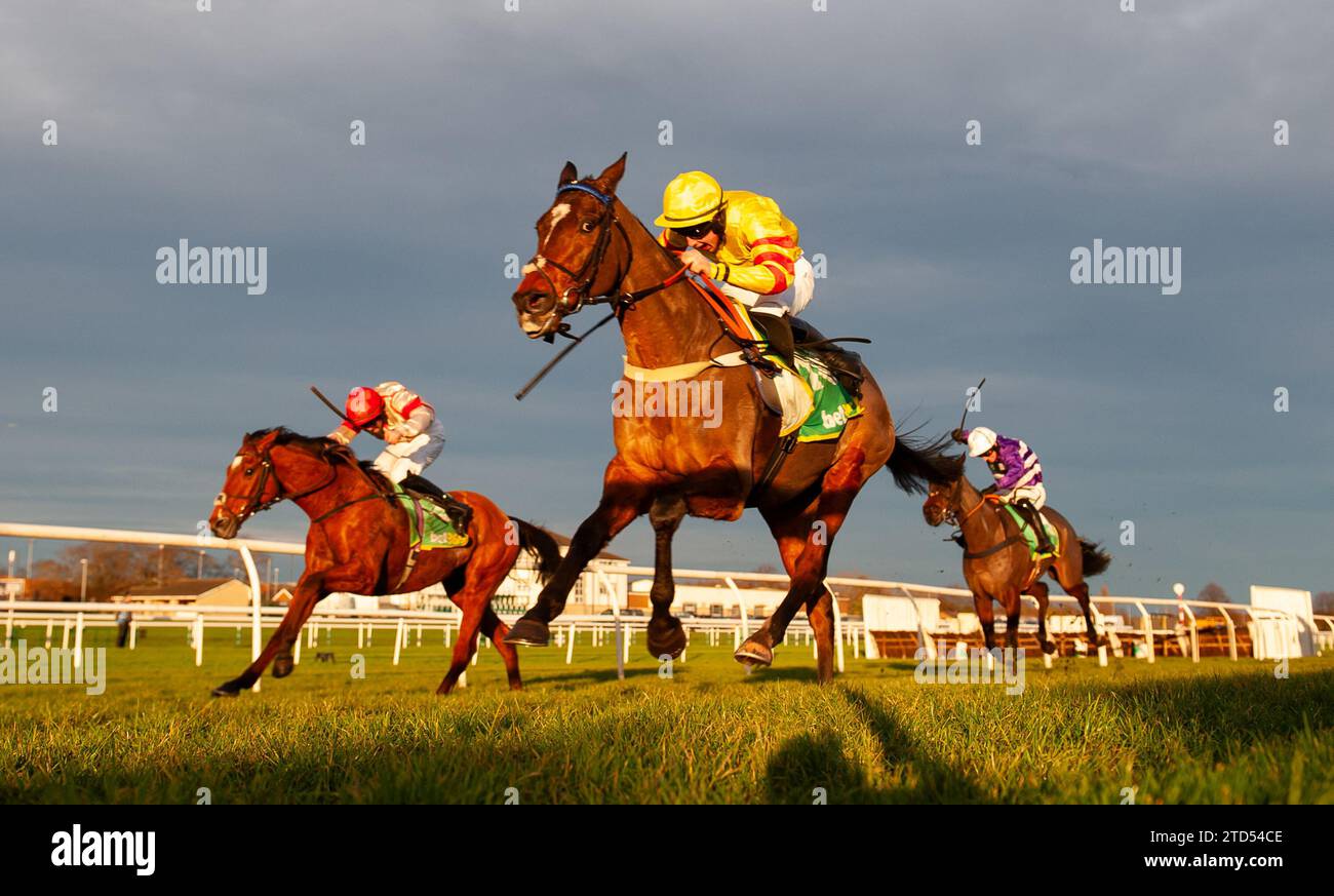 Red rum horse hi-res stock photography and images - Alamy