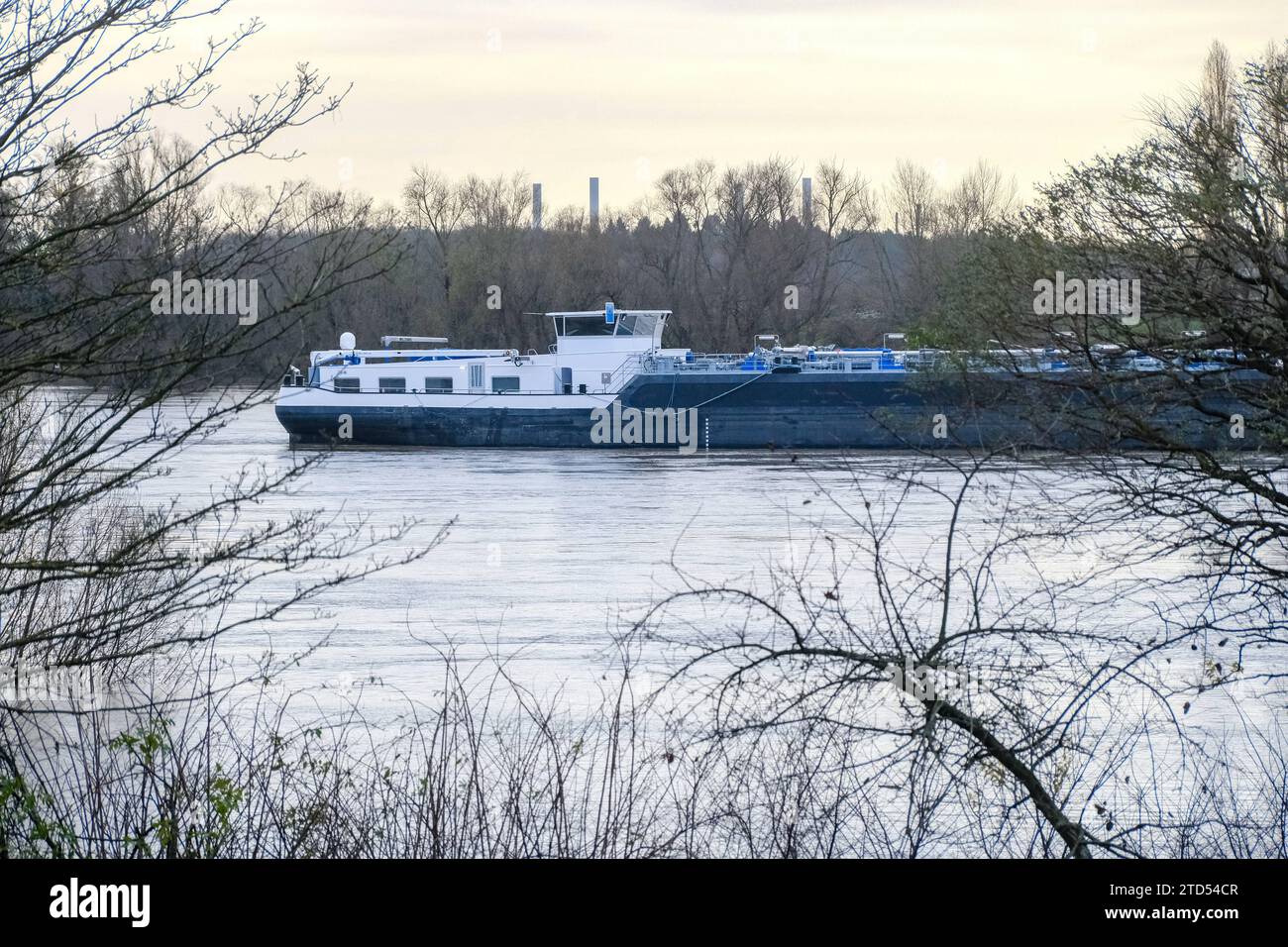 Düsseldorf 16.12.2023 Hochwasser Gewässer Rhein bei Volmerswerth ...