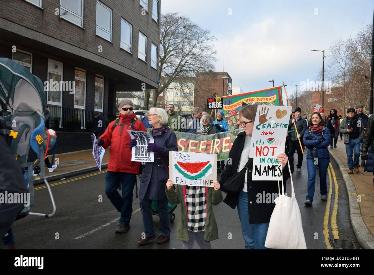 National Day of Action for Palestine. Protest in Norwich, UK at ...