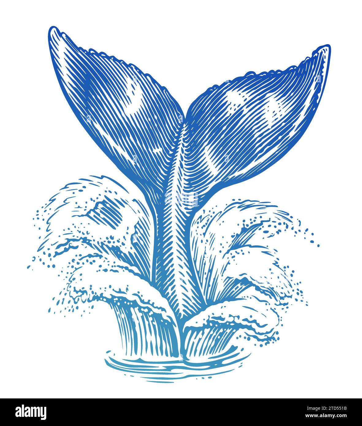 Tail of humpback whale over sea water. Nautical theme, hand drawn ...