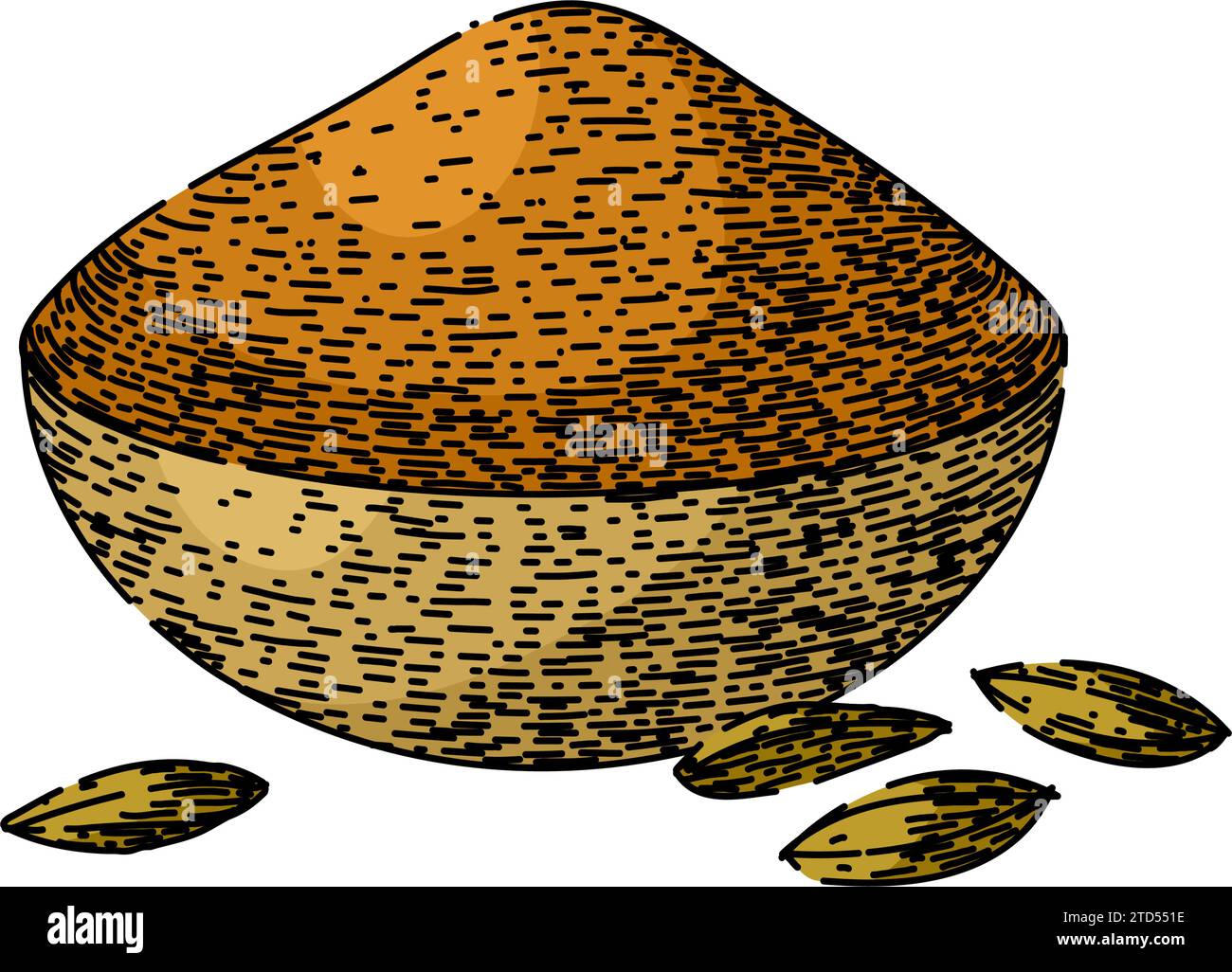 herb cumin sketch hand drawn vector Stock Vector Image & Art - Alamy