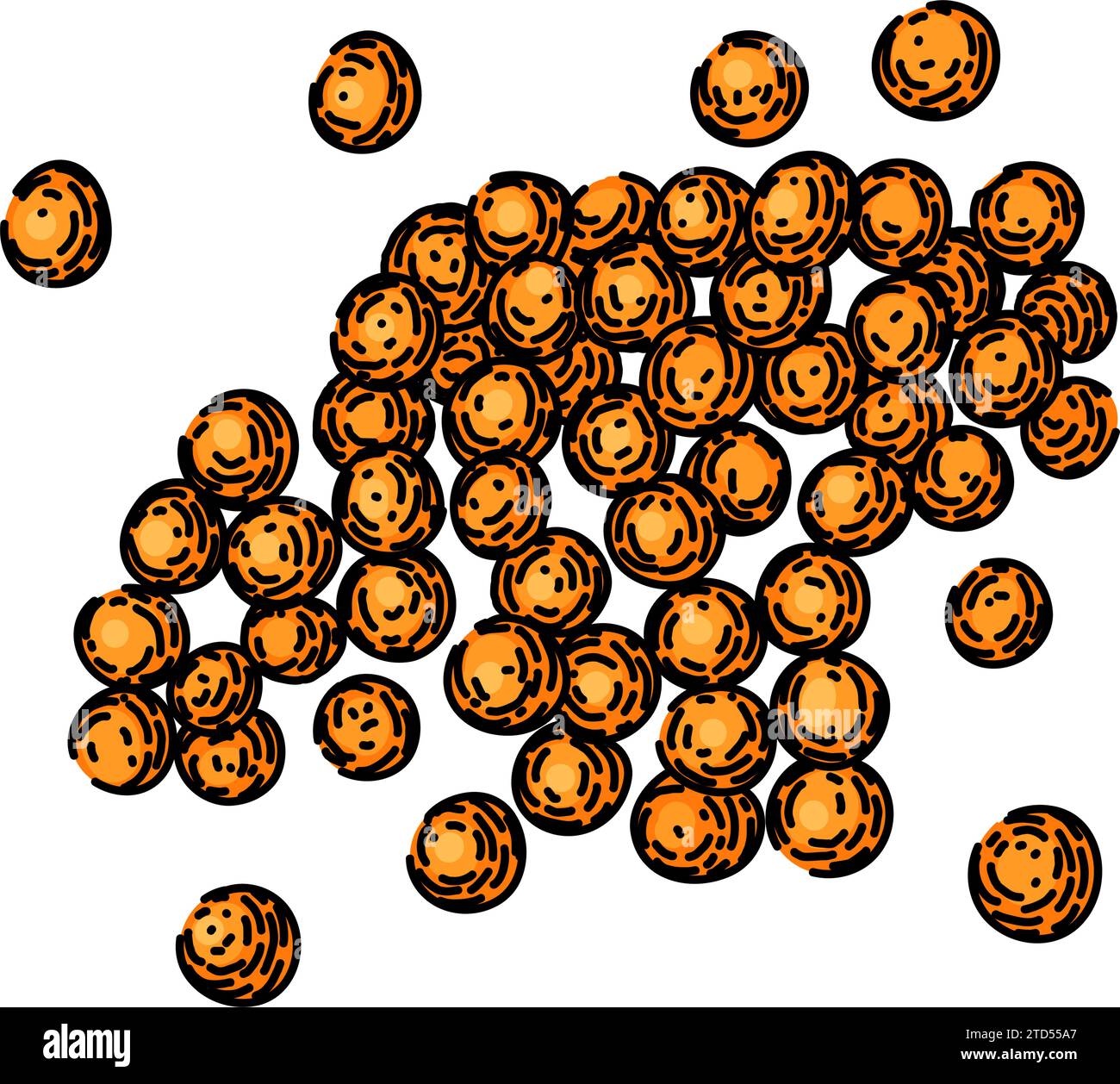 dry lentils sketch hand drawn vector Stock Vector Image & Art - Alamy