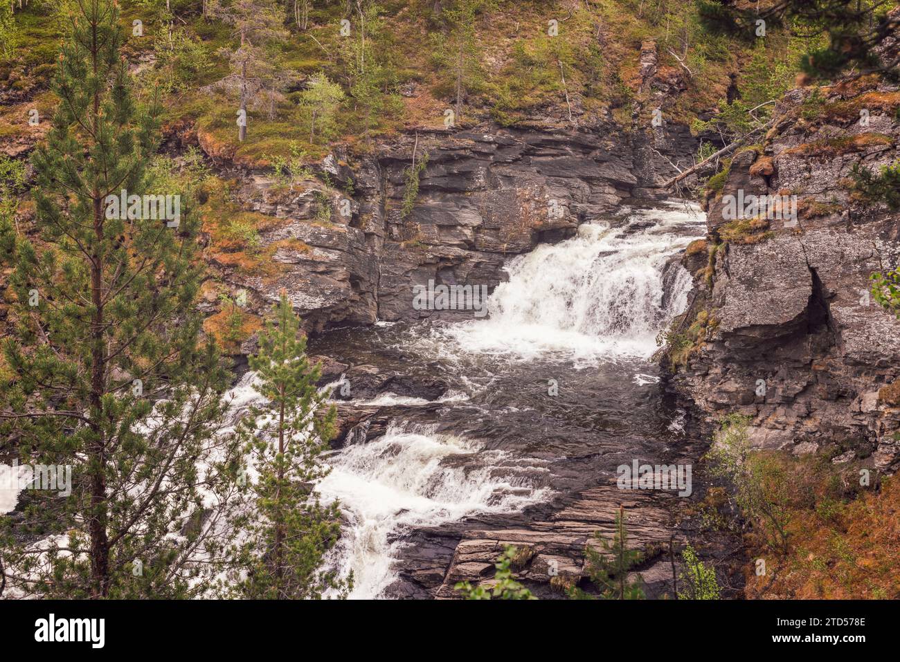 View of cascades amidst granite cliffs and coniferous forest along the ...