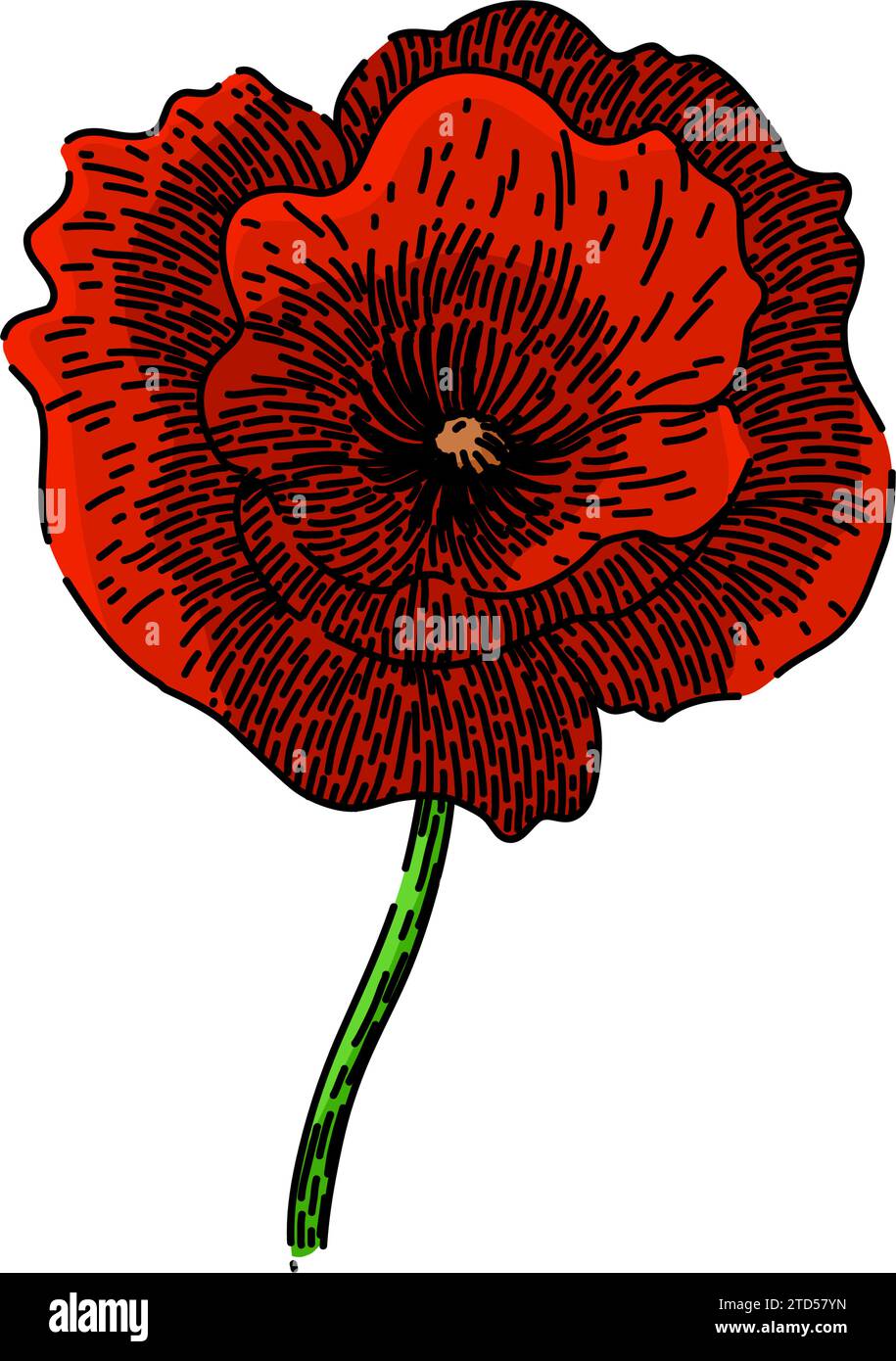 remembrance poppy sketch hand drawn vector Stock Vector Image & Art - Alamy