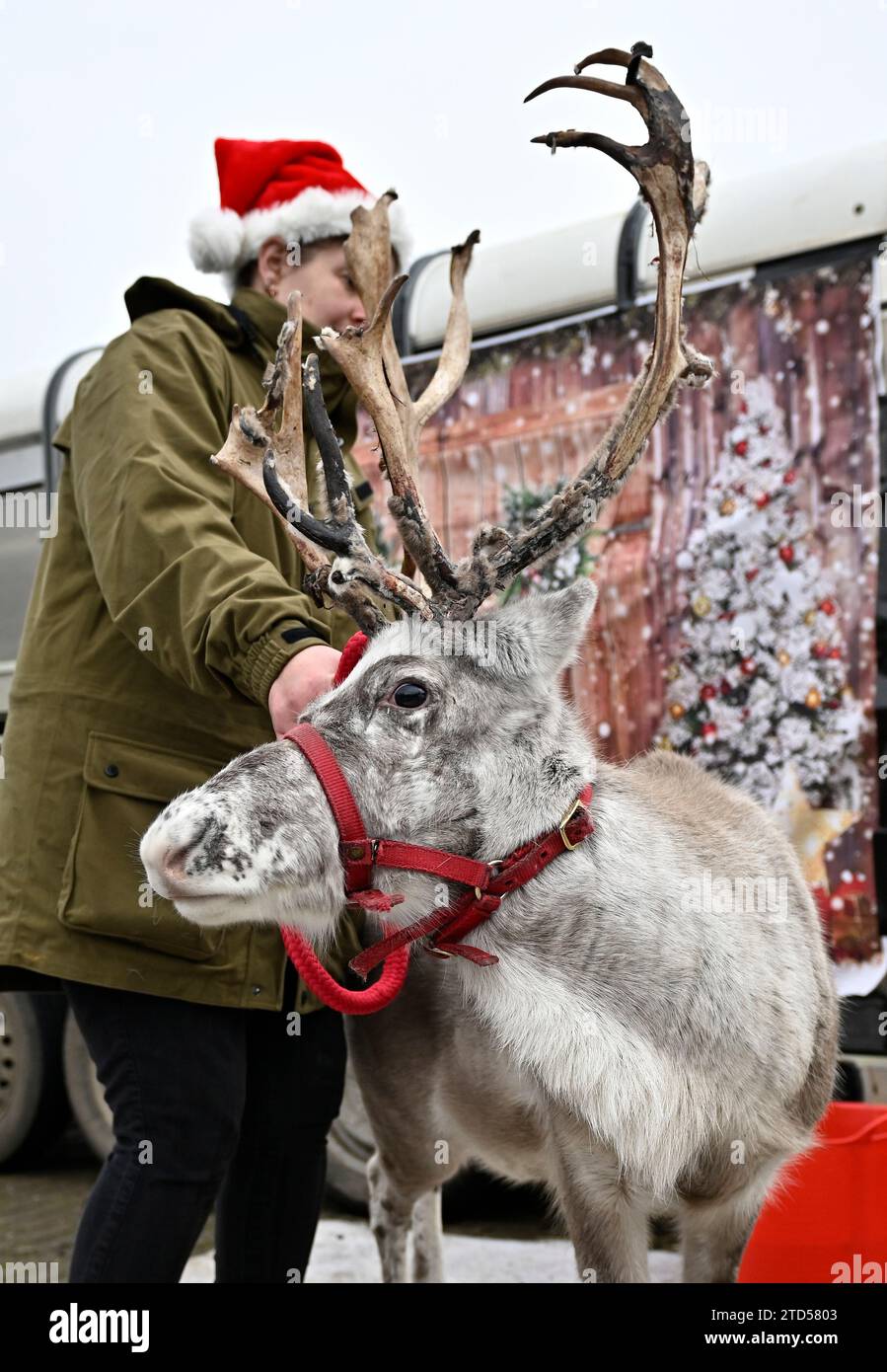Cup handler hi-res stock photography and images - Alamy