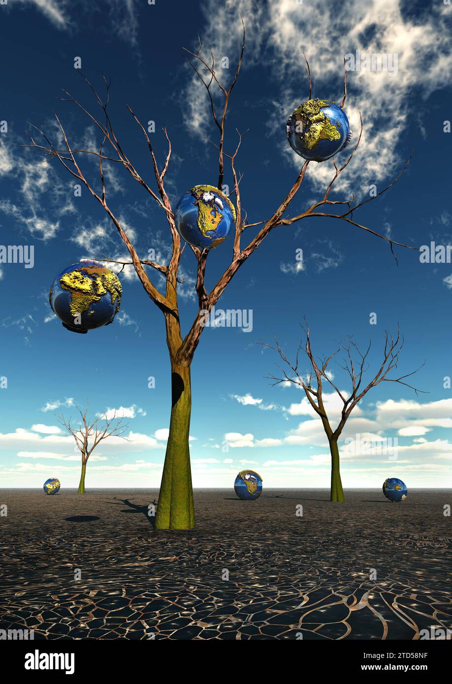 Dying Earth Trees Stock Photo - Alamy