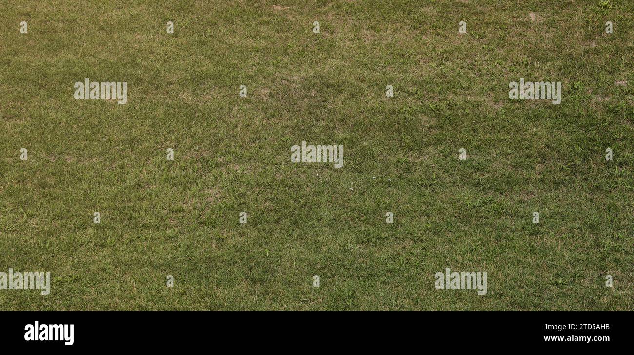 View from above of a green grassy area used as a sports field for ...