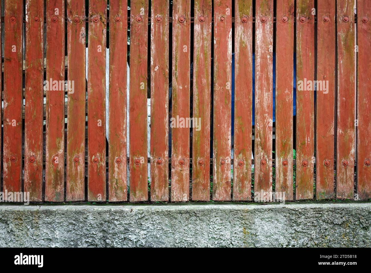 Basement garden hi-res stock photography and images - Alamy