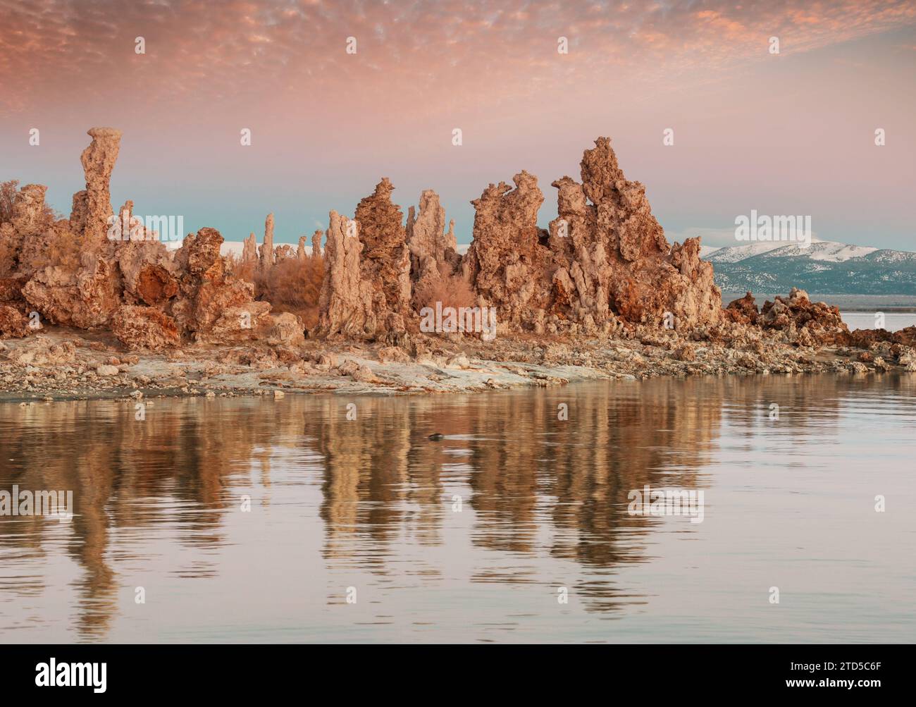 Unusual Mono lake formations at the sunrise Stock Photo - Alamy
