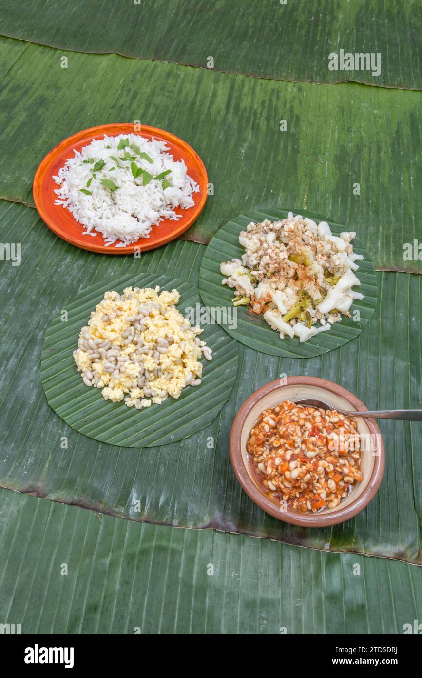 Ants and ant eggs are a common street food in Thailand where Kai Mod ...
