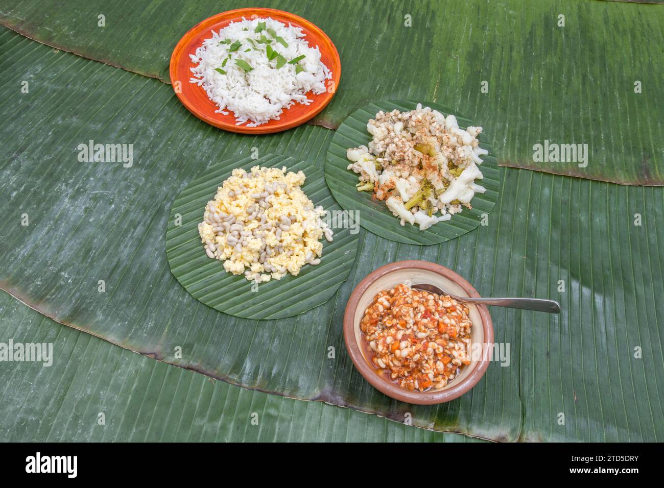 Ants and ant eggs are a common street food in Thailand where Kai Mod ...