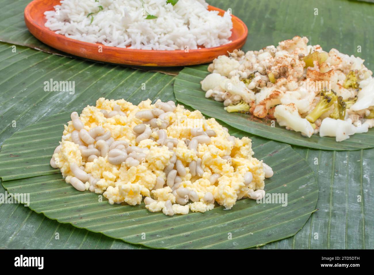 Ants and ant eggs are a common street food in Thailand where Kai Mod ...