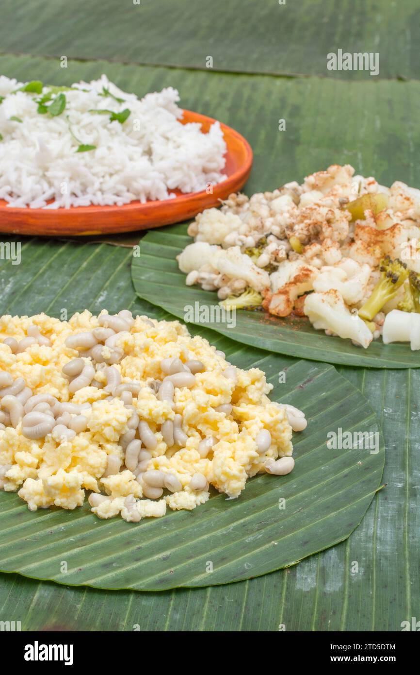 Ants and ant eggs are a common street food in Thailand where Kai Mod ...