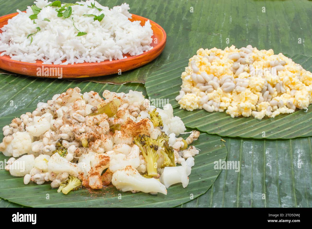 Ants and ant eggs are a common street food in Thailand where Kai Mod ...