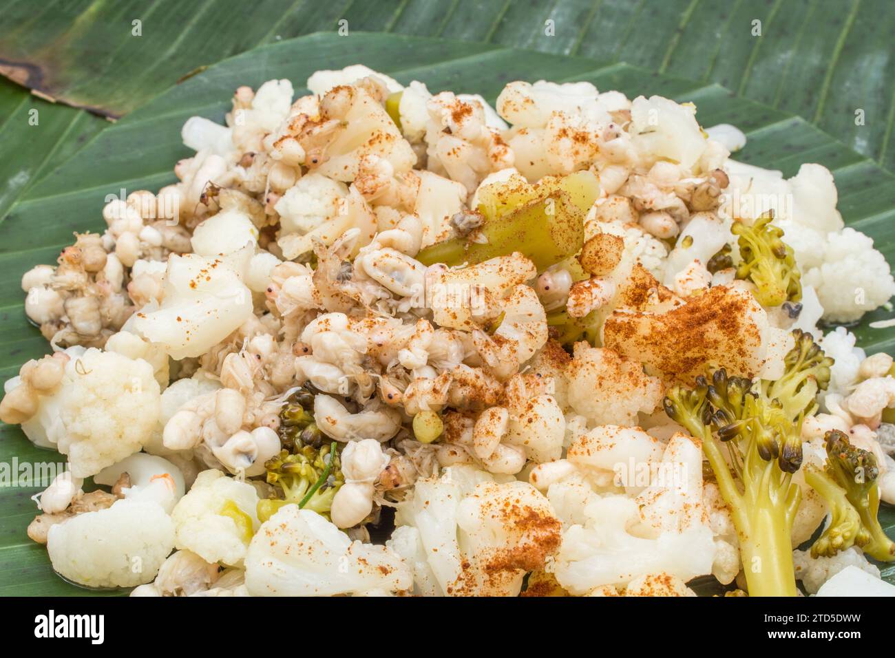 In Thailand ants and ant eggs are a common street food in Thailand ...