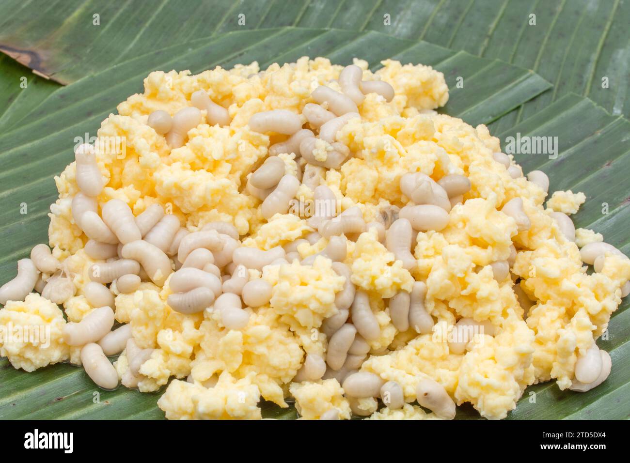 In Thailand ants and ant eggs are a common street food in Thailand ...