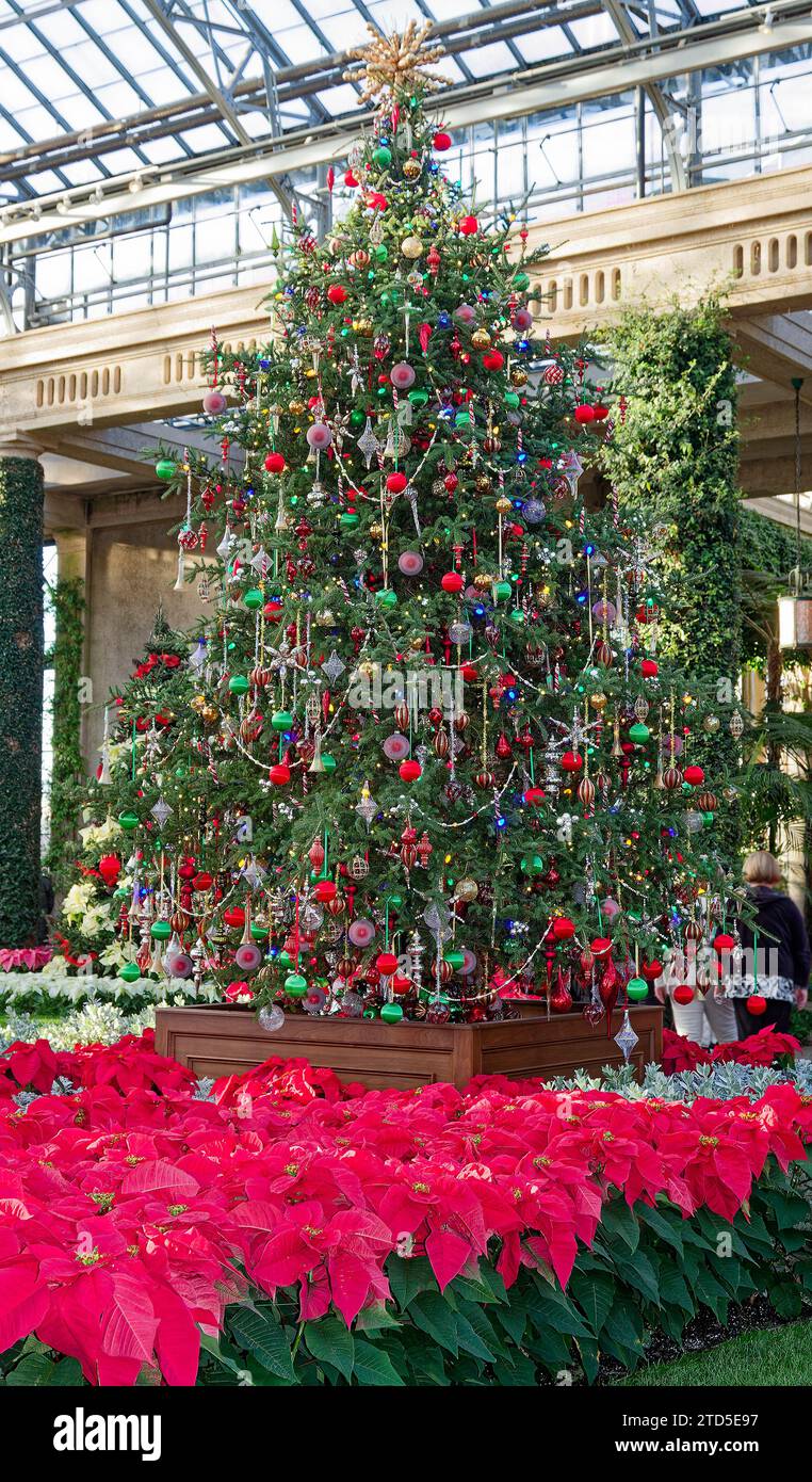 Large Decorated Evergreen Tree Elaborate Christmas Display Glass