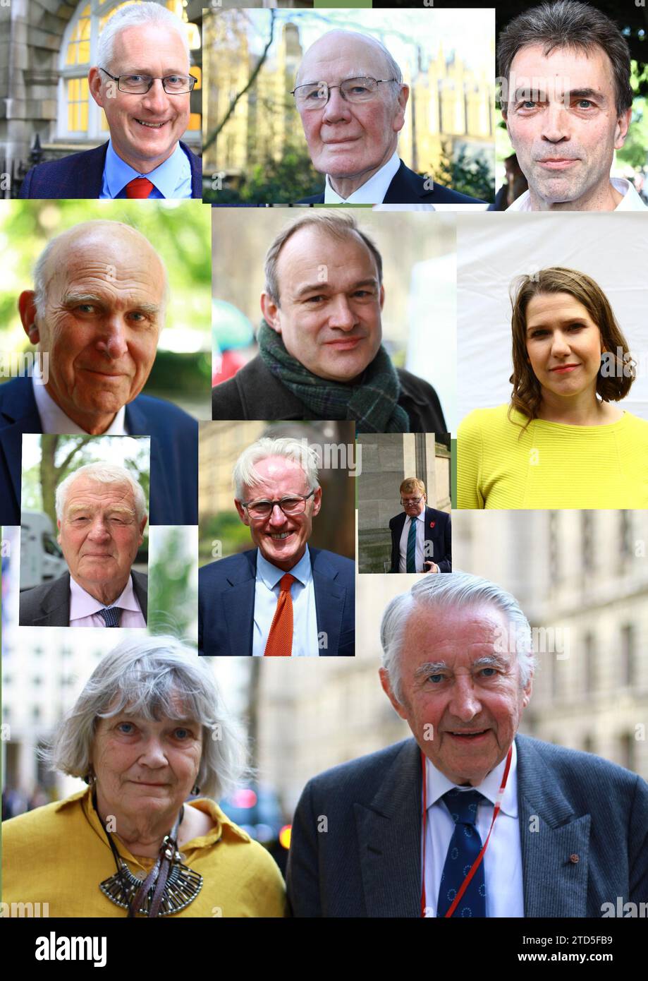 Liberal Democrats. Leaders and prominent MPS of the Liberal Democrat ...