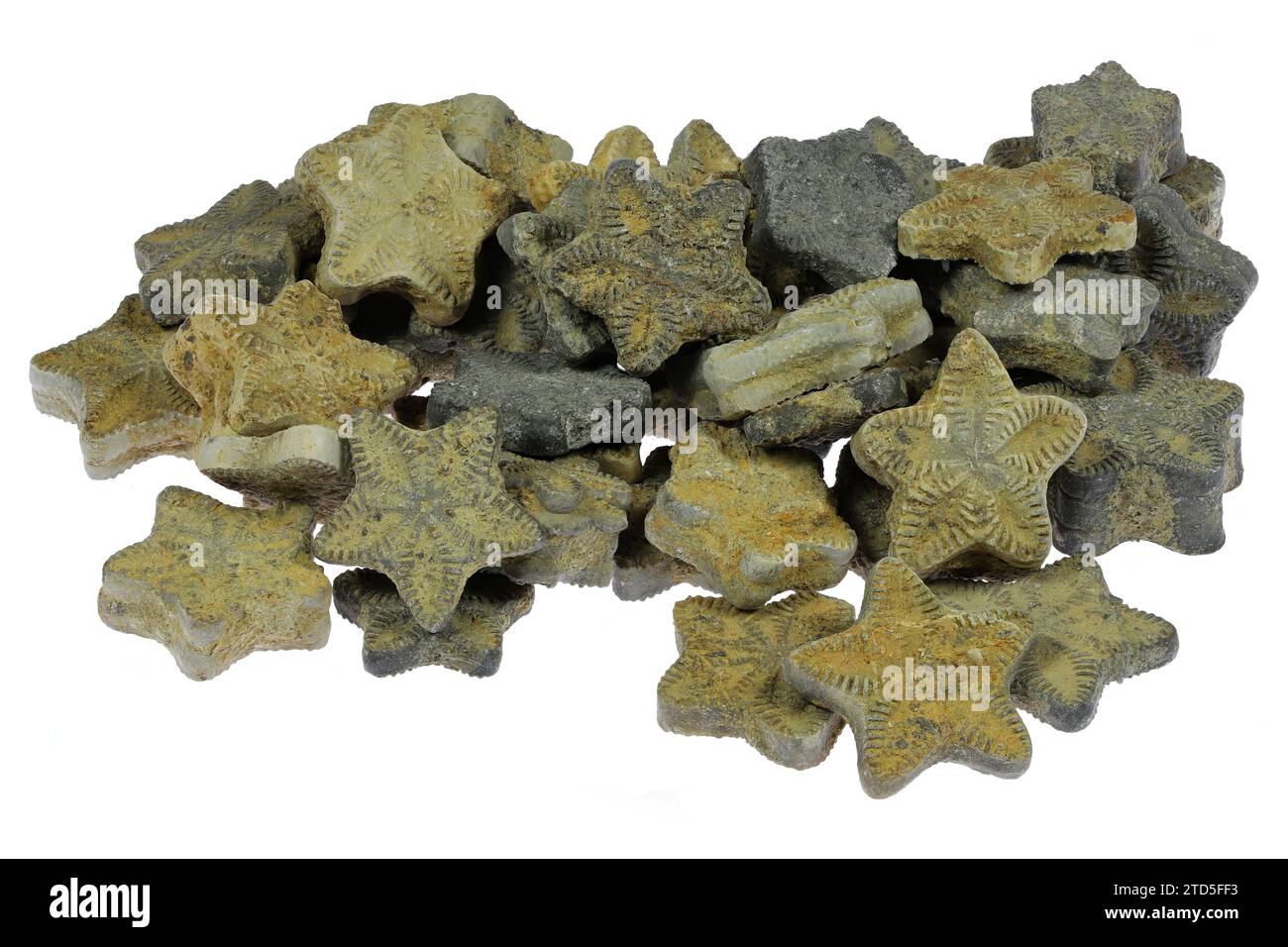 crinoid stars from Ellange, Luxembourg isolated on white background ...