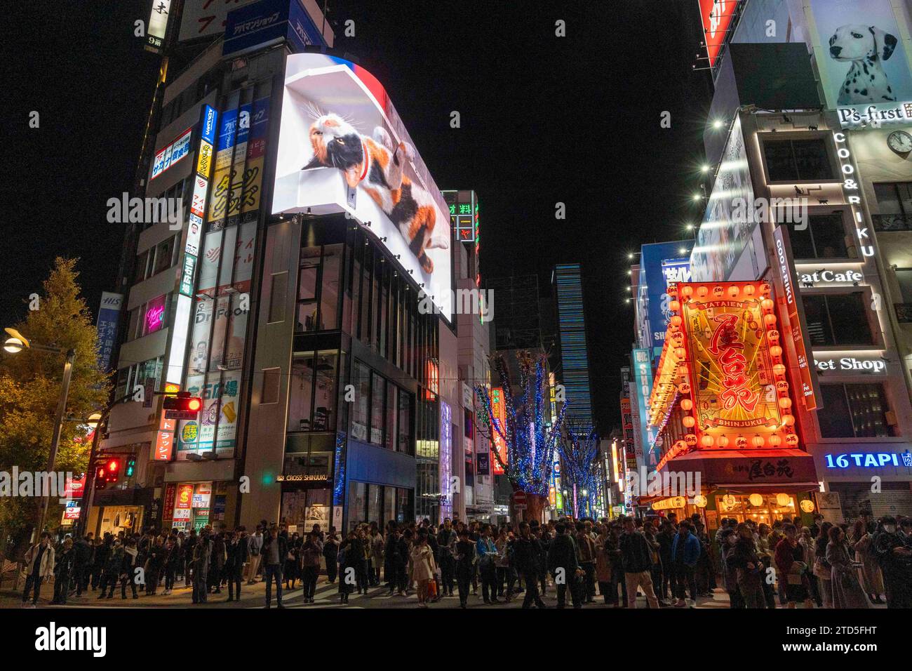December 16, 2023, Tokyo, Tokyo, Japan: Crowds of people wait to walk ...