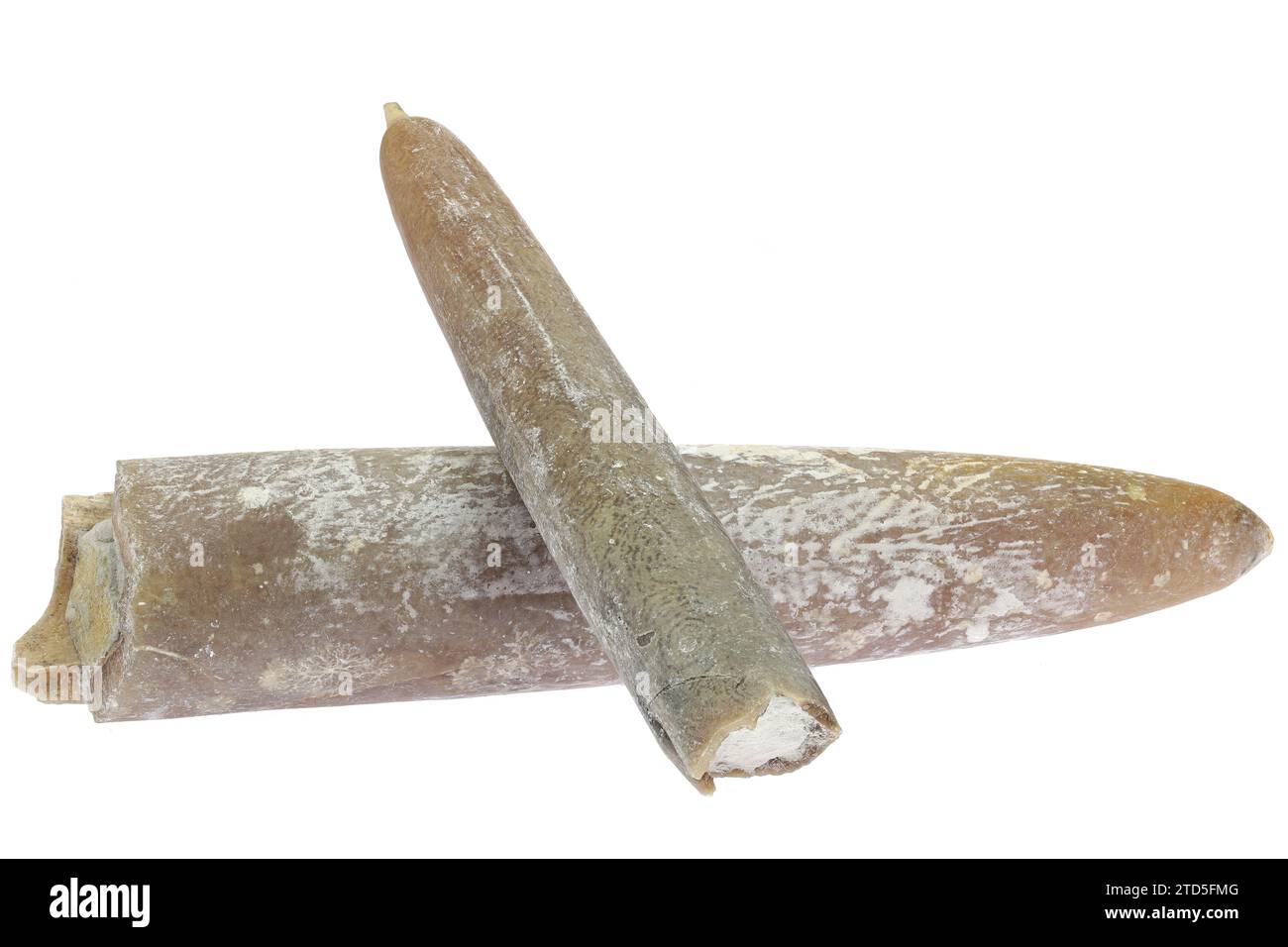 Donnerkeil hi-res stock photography and images - Alamy