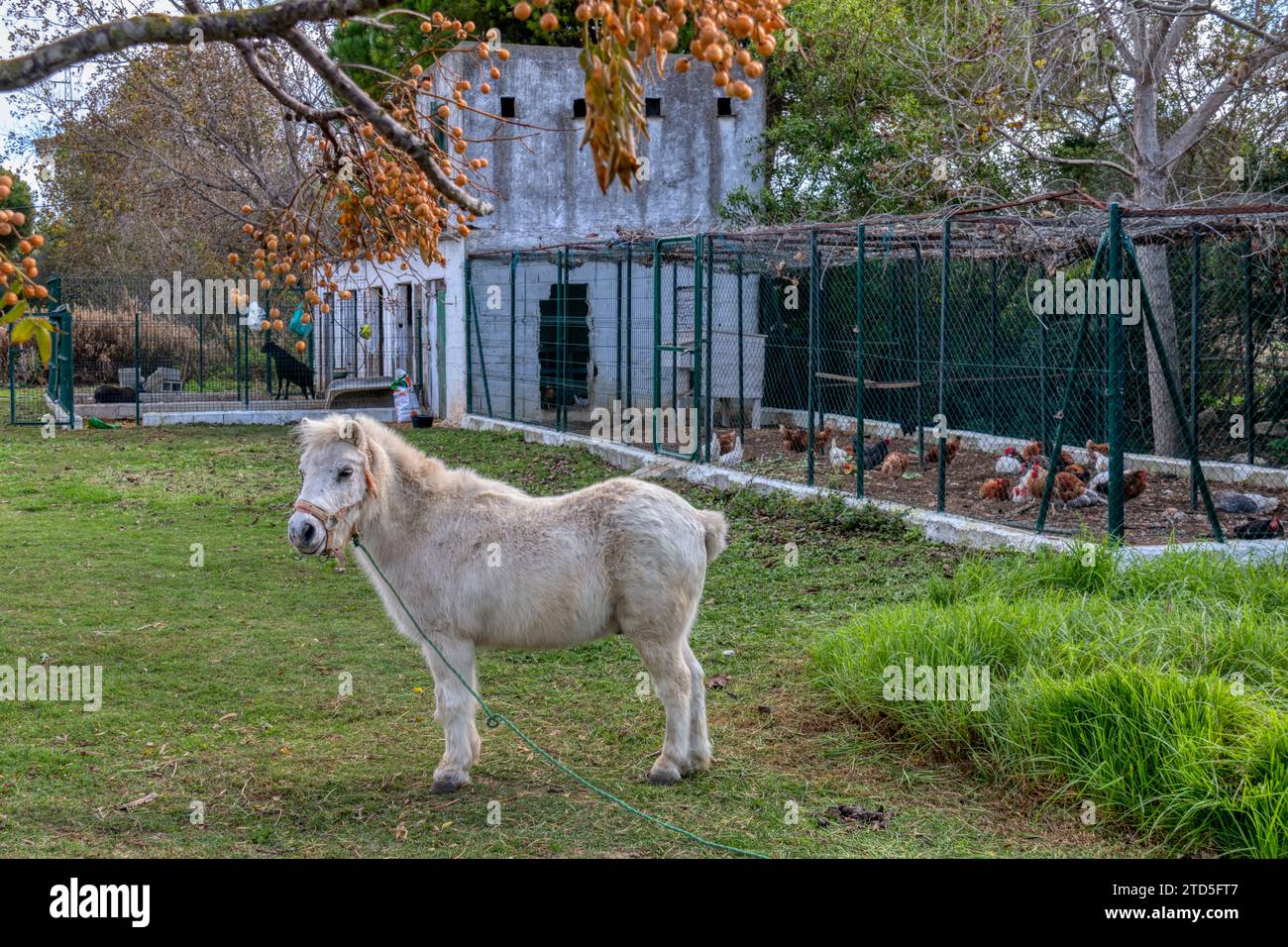 Mini farm scene hi-res stock photography and images - Alamy
