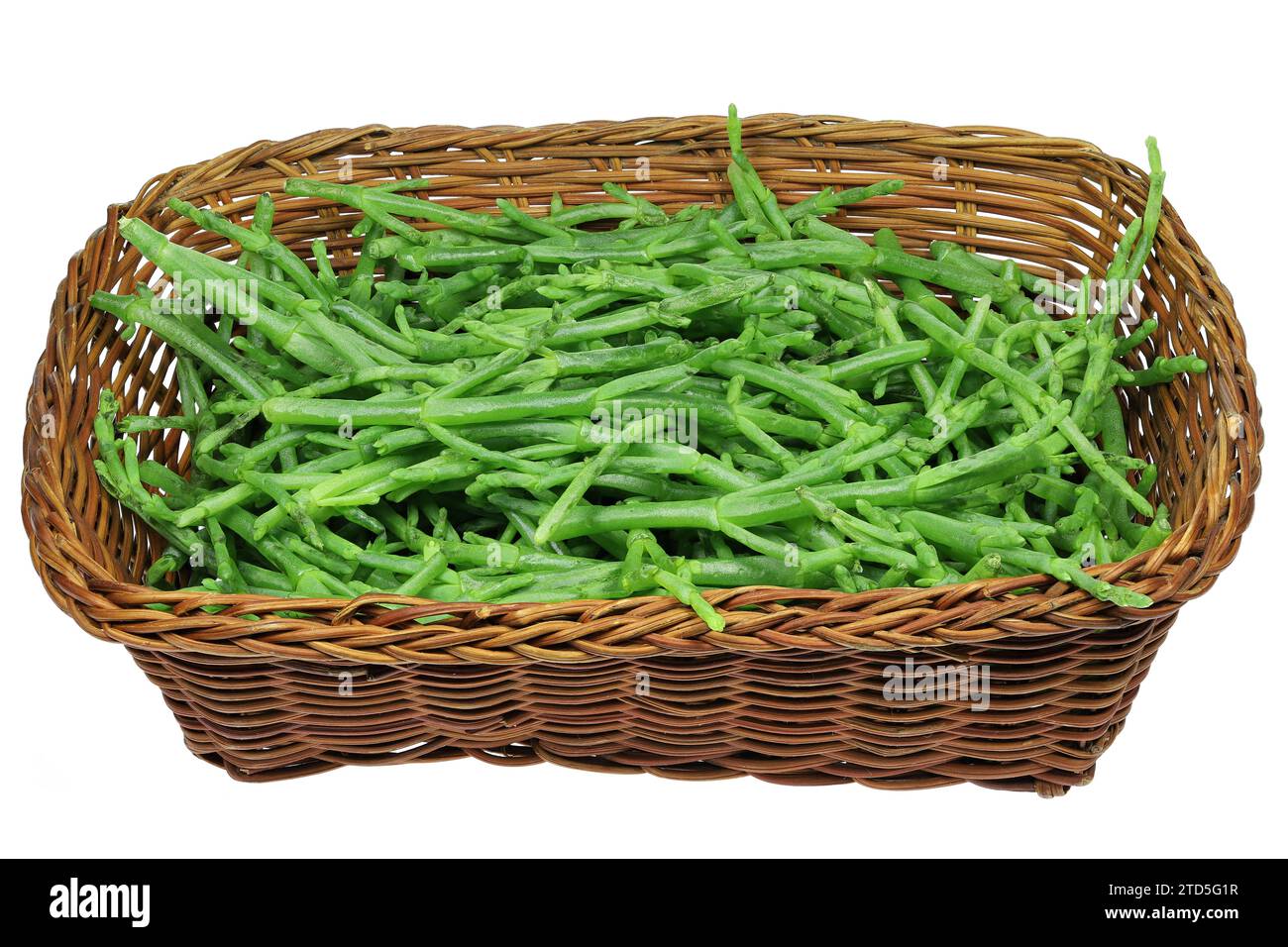 common glasswort in a basket isolated on white background Stock Photo ...