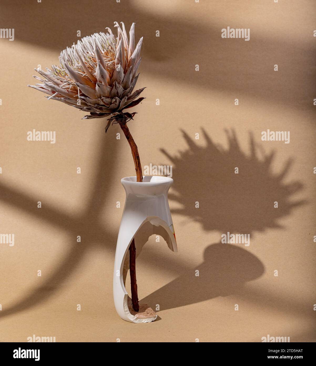 Broken vase hi-res stock photography and images - Alamy