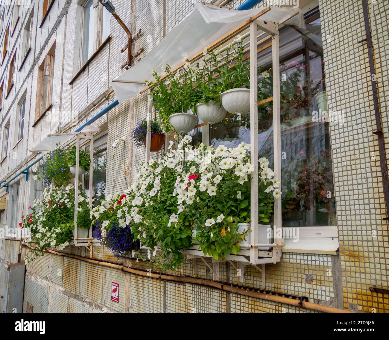 Planters with flowers installed outside the window Stock Photo - Alamy