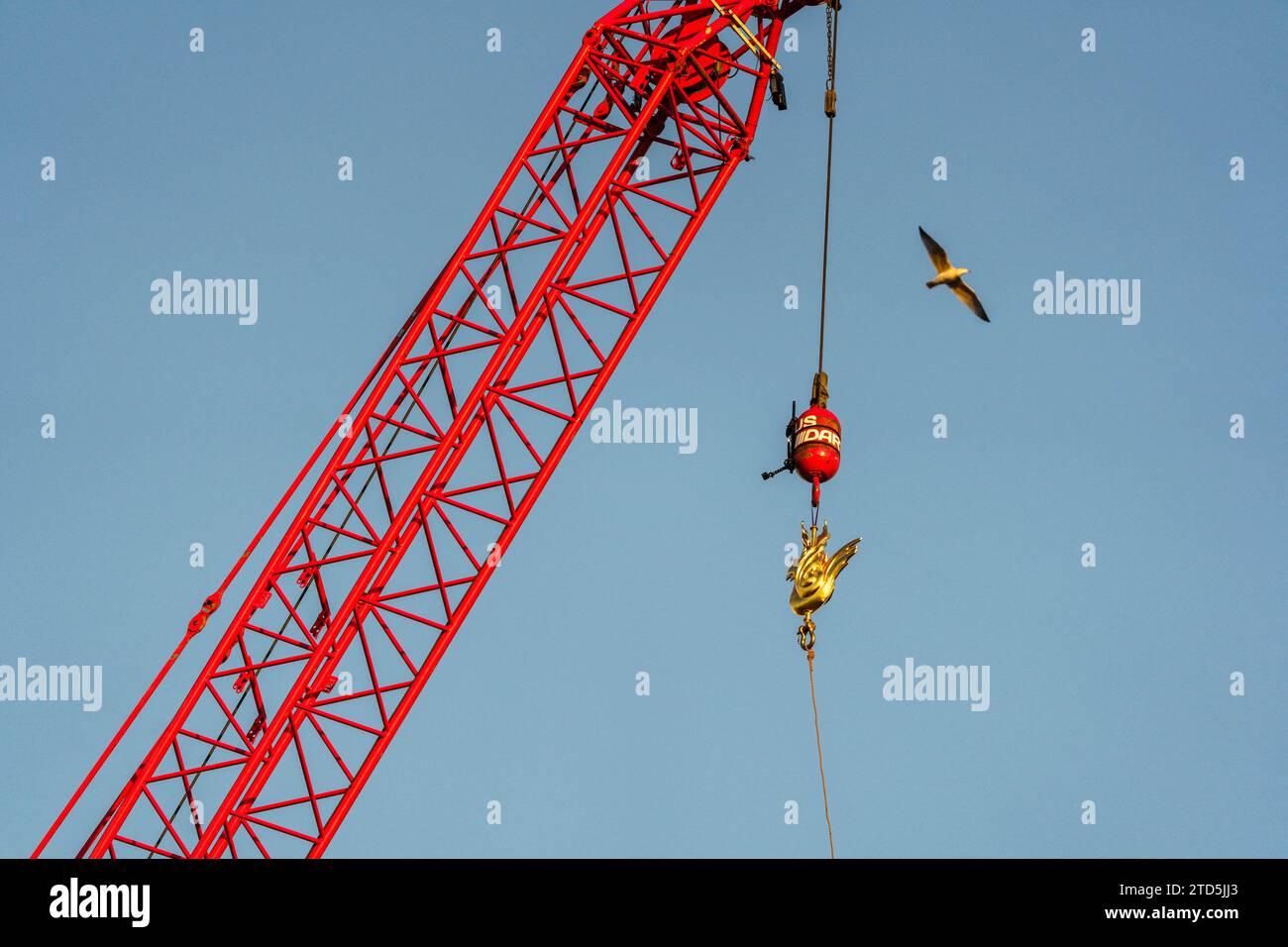 The new golden rooster containing relics is lifted by crane to be ...