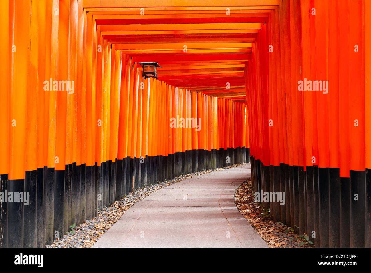 Red Torii gates in Fushimi Inari shrine in Kyoto, Japan Stock Photo - Alamy