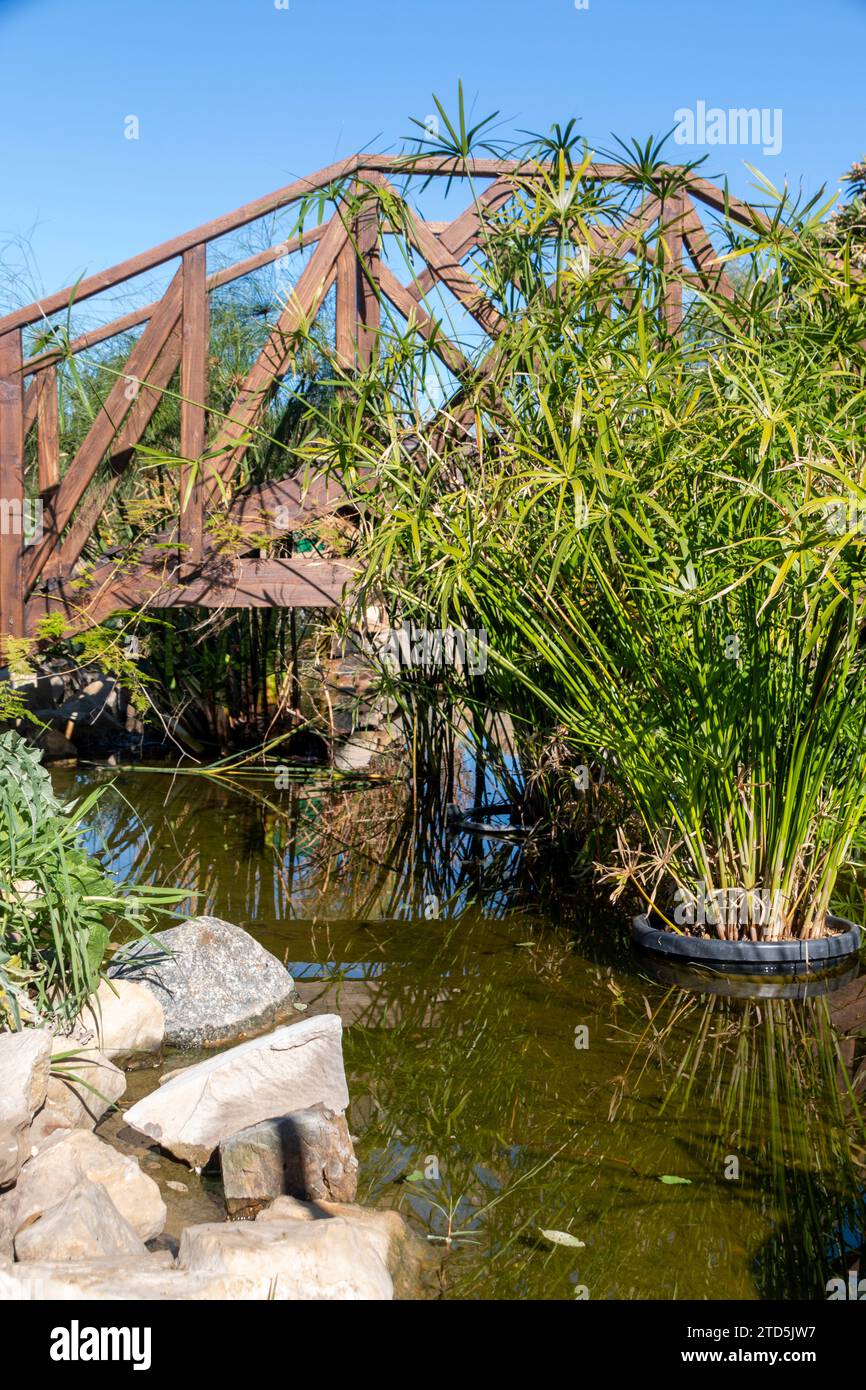 Brigde over a pond hi-res stock photography and images - Alamy