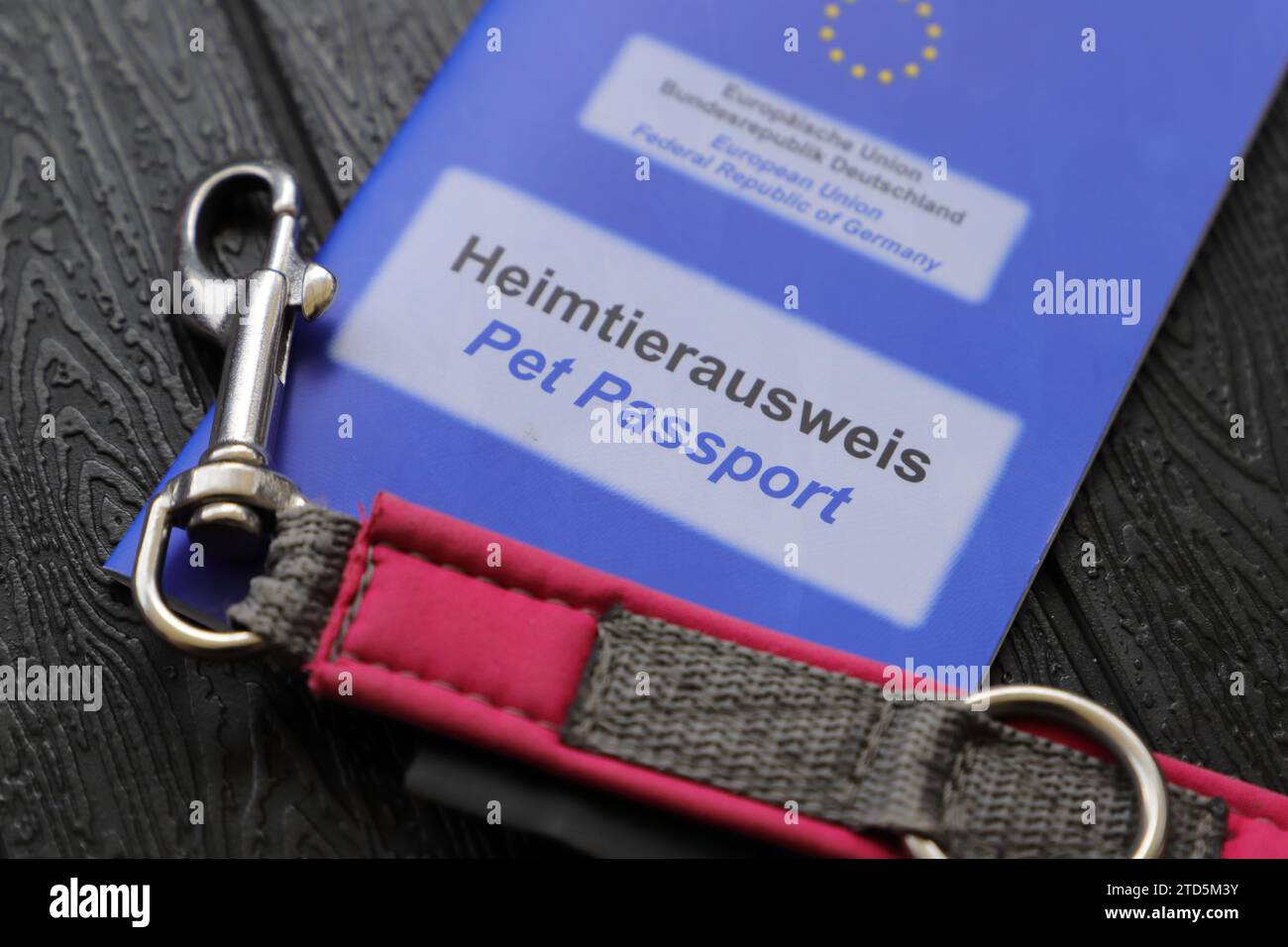EU pet ID card with the inscription "Pet ID card and Federal Republic ...
