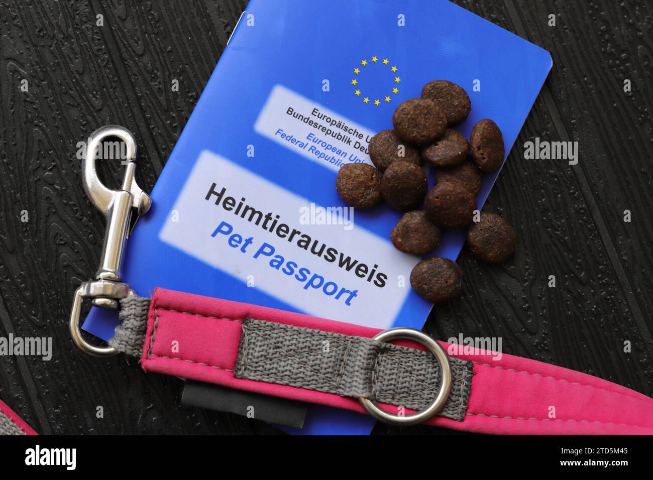 EU pet ID card with the inscription "Pet ID card and Federal Republic ...