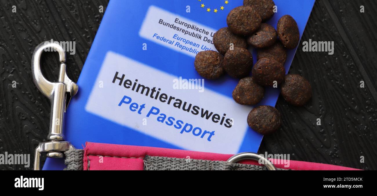 EU pet ID card with the inscription "Pet ID card and Federal Republic ...