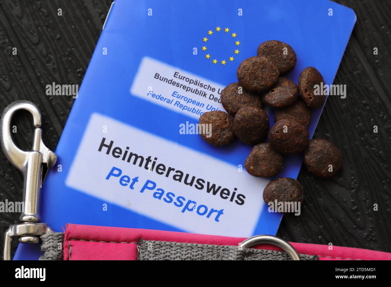 EU pet ID card with the inscription "Pet ID card and Federal Republic ...