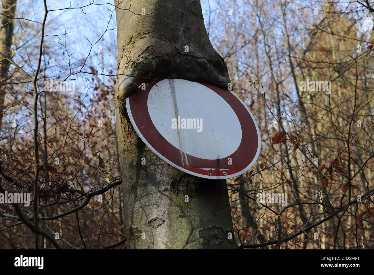 Overgrown obscured road sign hi-res stock photography and images - Alamy