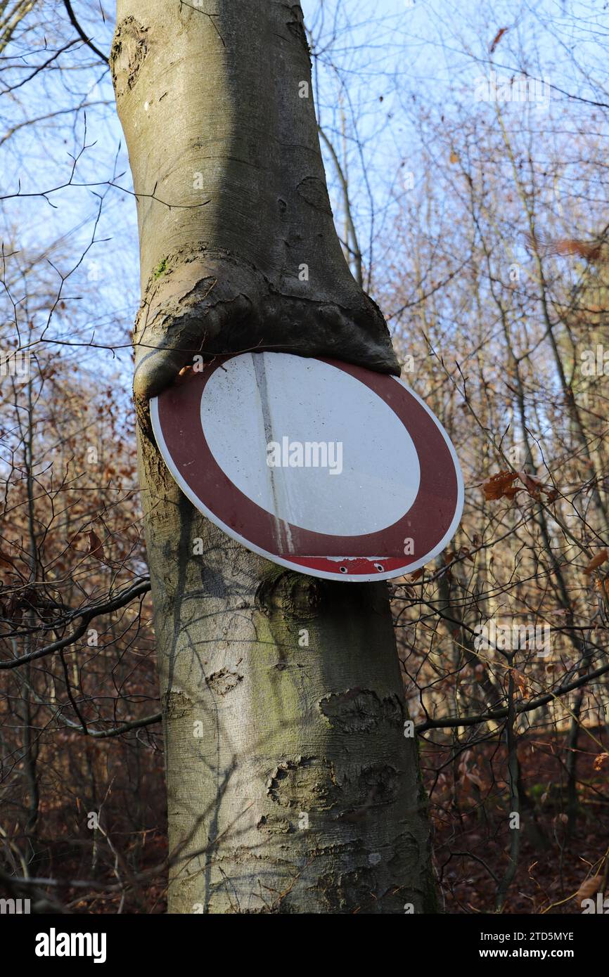 Overgrown obscured road sign hi-res stock photography and images - Alamy