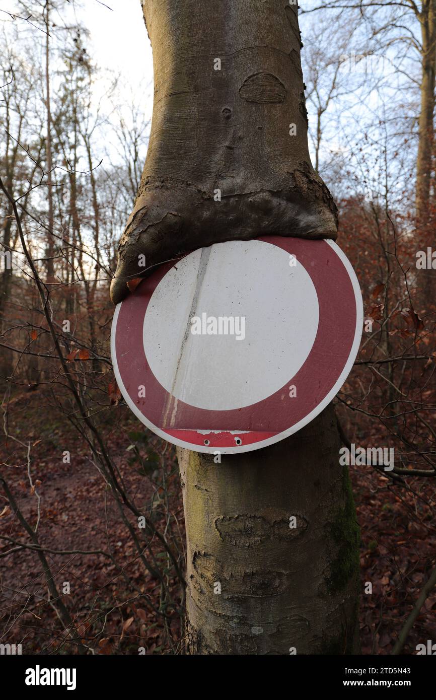 Overgrown obscured road sign hi-res stock photography and images - Alamy