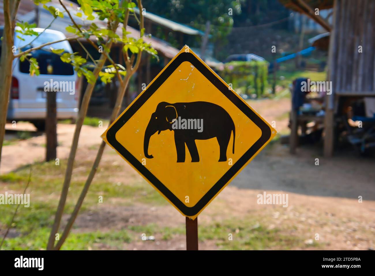 Road sign board warning for elephants, Thailand Stock Photo - Alamy