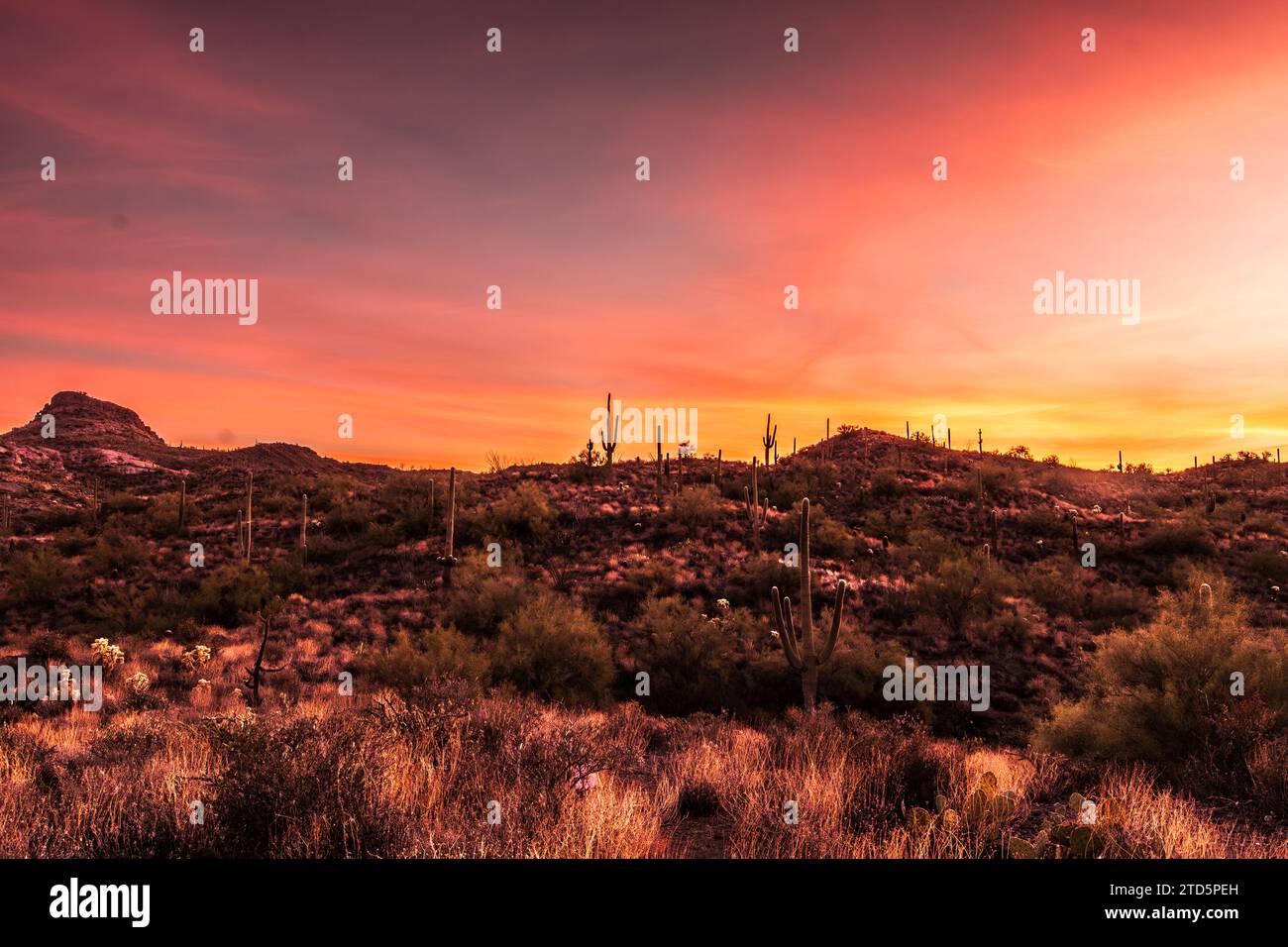 Spectacular Golden Hour Sunrise Over Arizona Landscape! Stock Photo - Alamy